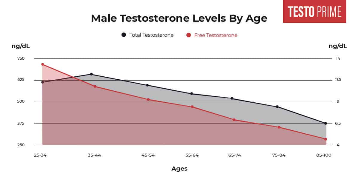 Testo Prime Review [UPD 2026] - Ingredients Breakdown, Facts & Benefits