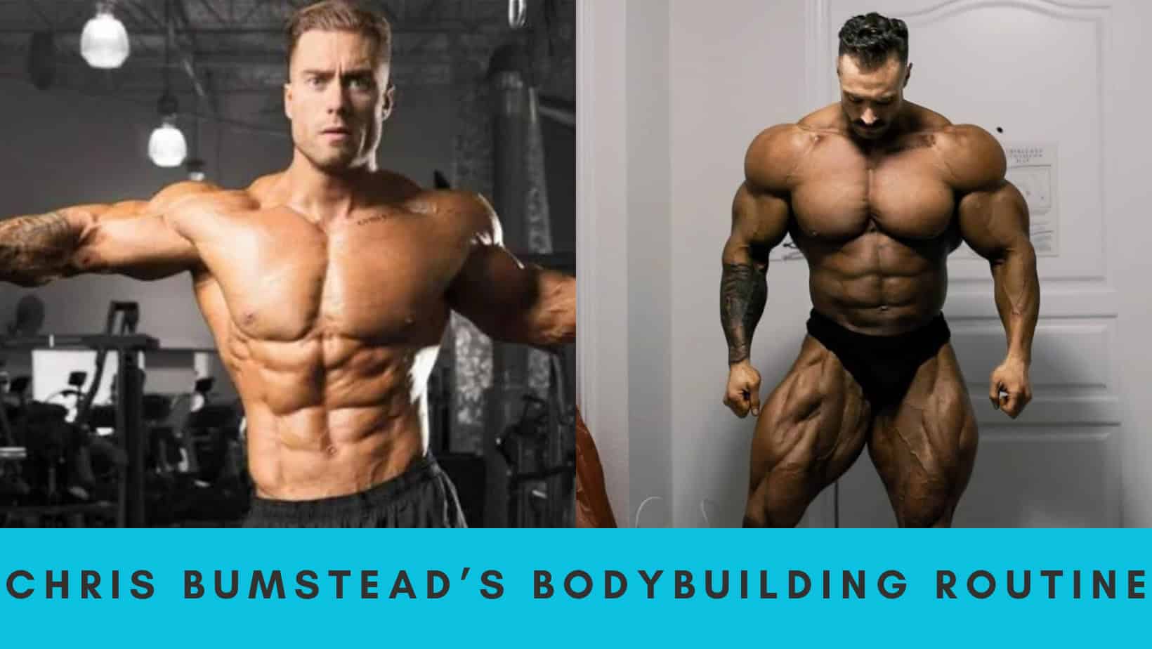 Fitness Excellence: A Look into Chris Bumstead's Workout Routine - [UPD ...